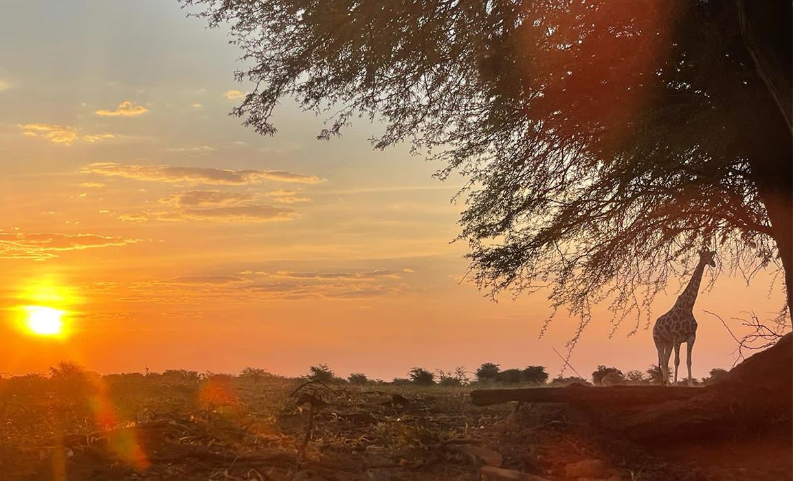 Avula Safaris - Unveiling Adventure - Avula Safaris